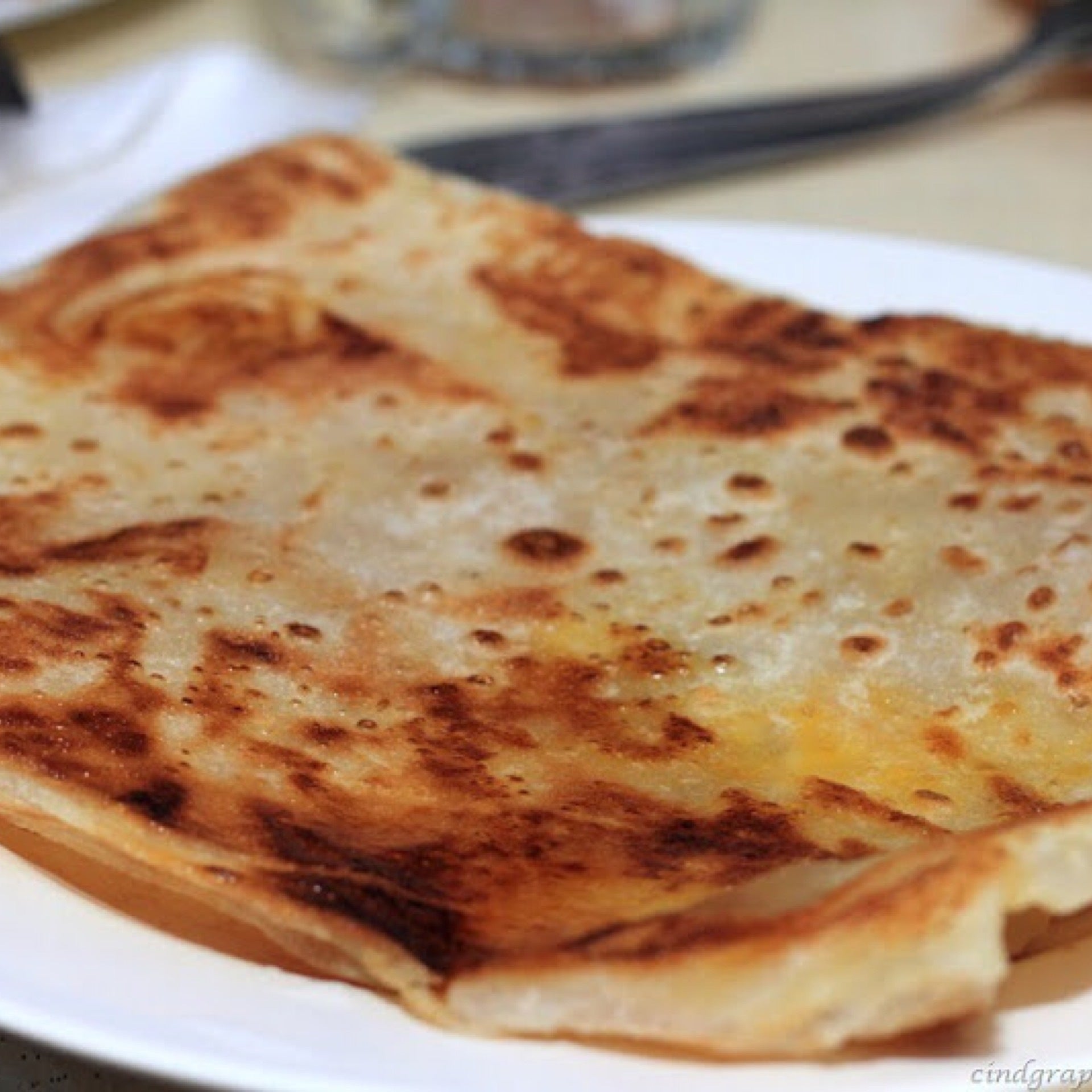 Roti Planta | My Site